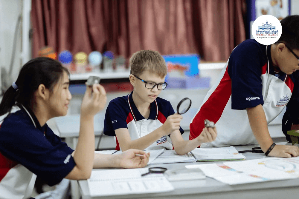 Individual Learning Strategies: A Guide to Personal Success